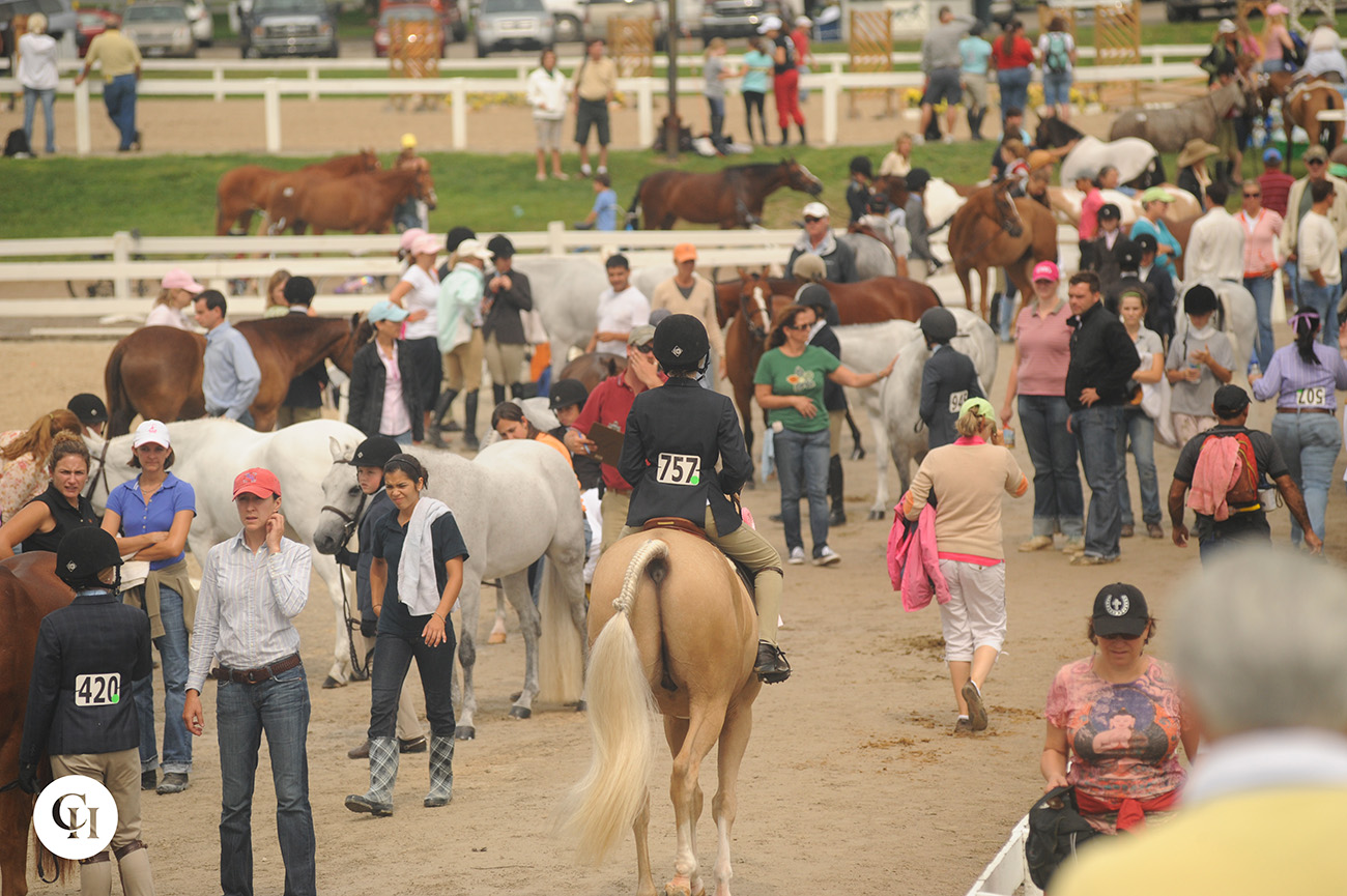 What You Need To Know: 2024 USEF Pony Finals