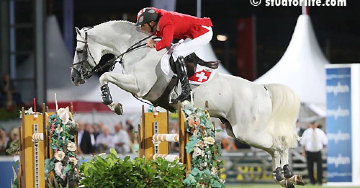 Alexander Onishchenko se rééquipe ! | Studforlife