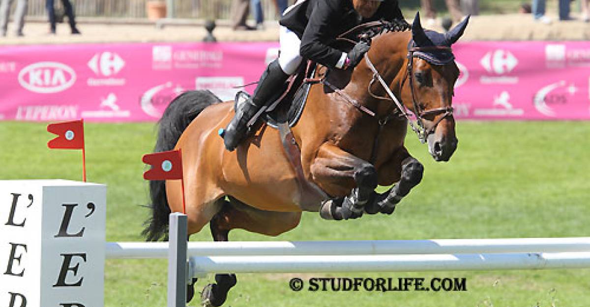 Jan Tops achète Noblesse des Tess. | Studforlife