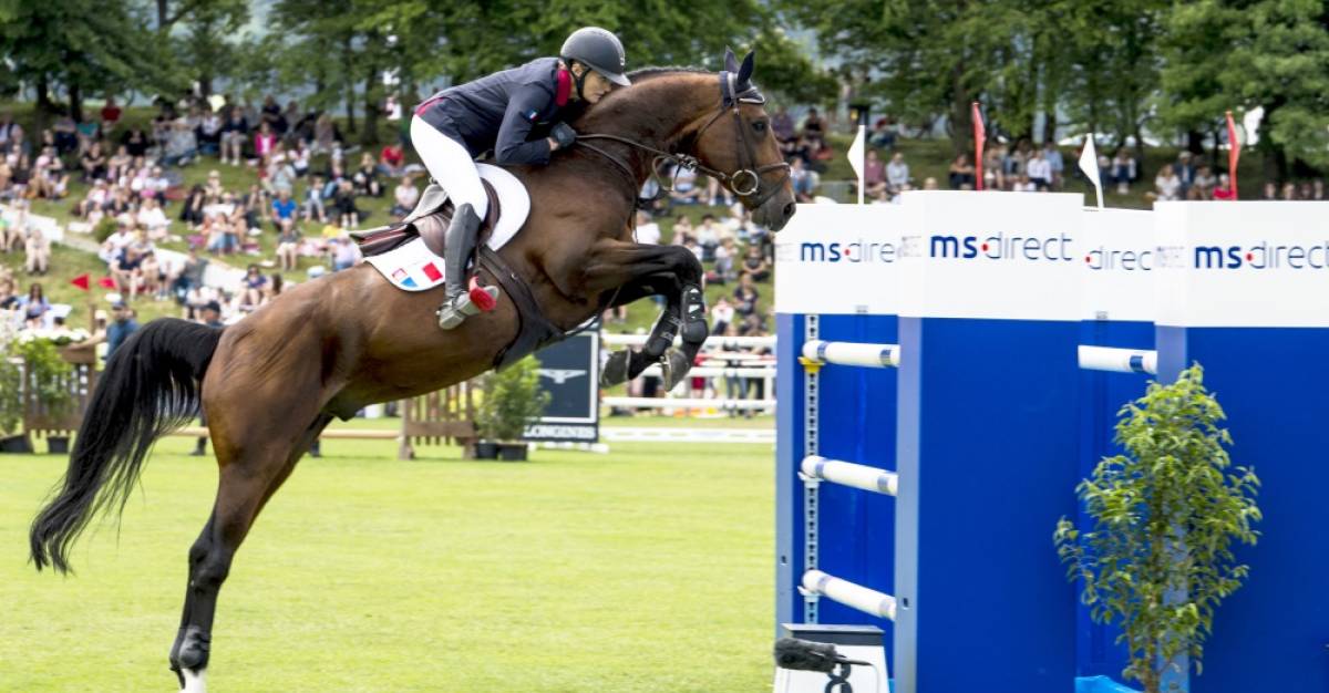 Volnay du Boisdeville pour le jeune Teddy Vlock | Studforlife